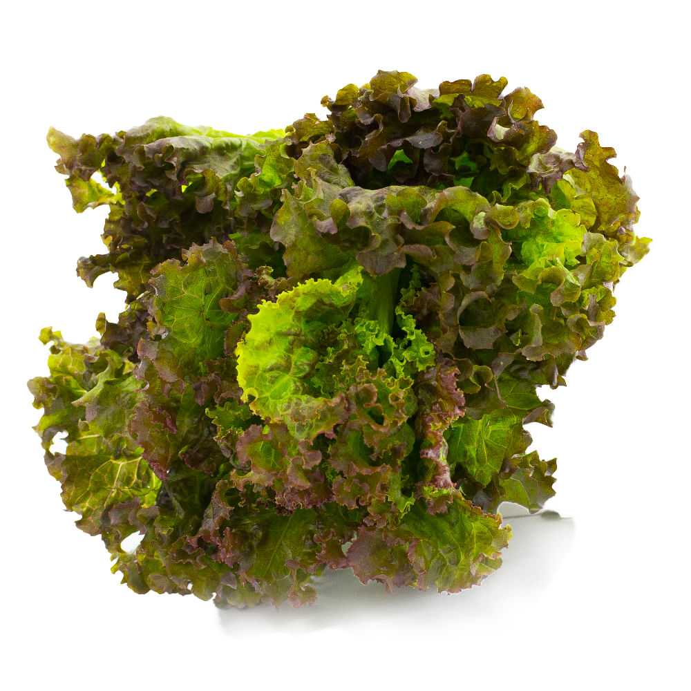 Alface Crespa Roxa 01 unidade Benassi - Supermercado Coop