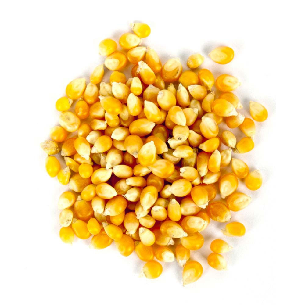 Milho de Pipoca Argentina Benassi 100g - Supermercado Coop