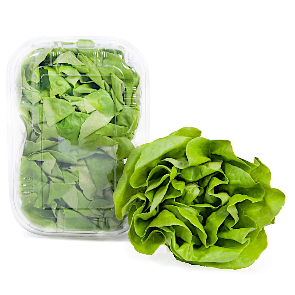Alface Lisa Mil Green 250g - Supermercado Coop